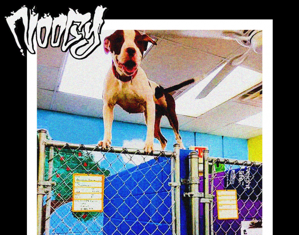 Song Of The Day: Noogy – “A.C.A.B.” | Central Track