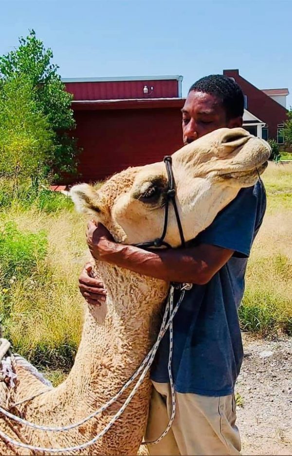 [Q&A] We Interviewed The Oak Cliff Camel Guy. | Central Track